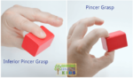 A Simple Explanation of the Pincer Grasp
