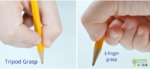Pencil Grasp Development: The Tripod Grasp