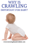 Why is Crawling Important for Babies?
