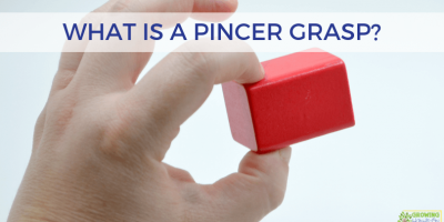 Growing Hands-On Kids - Child development tips, tools, and strategies.