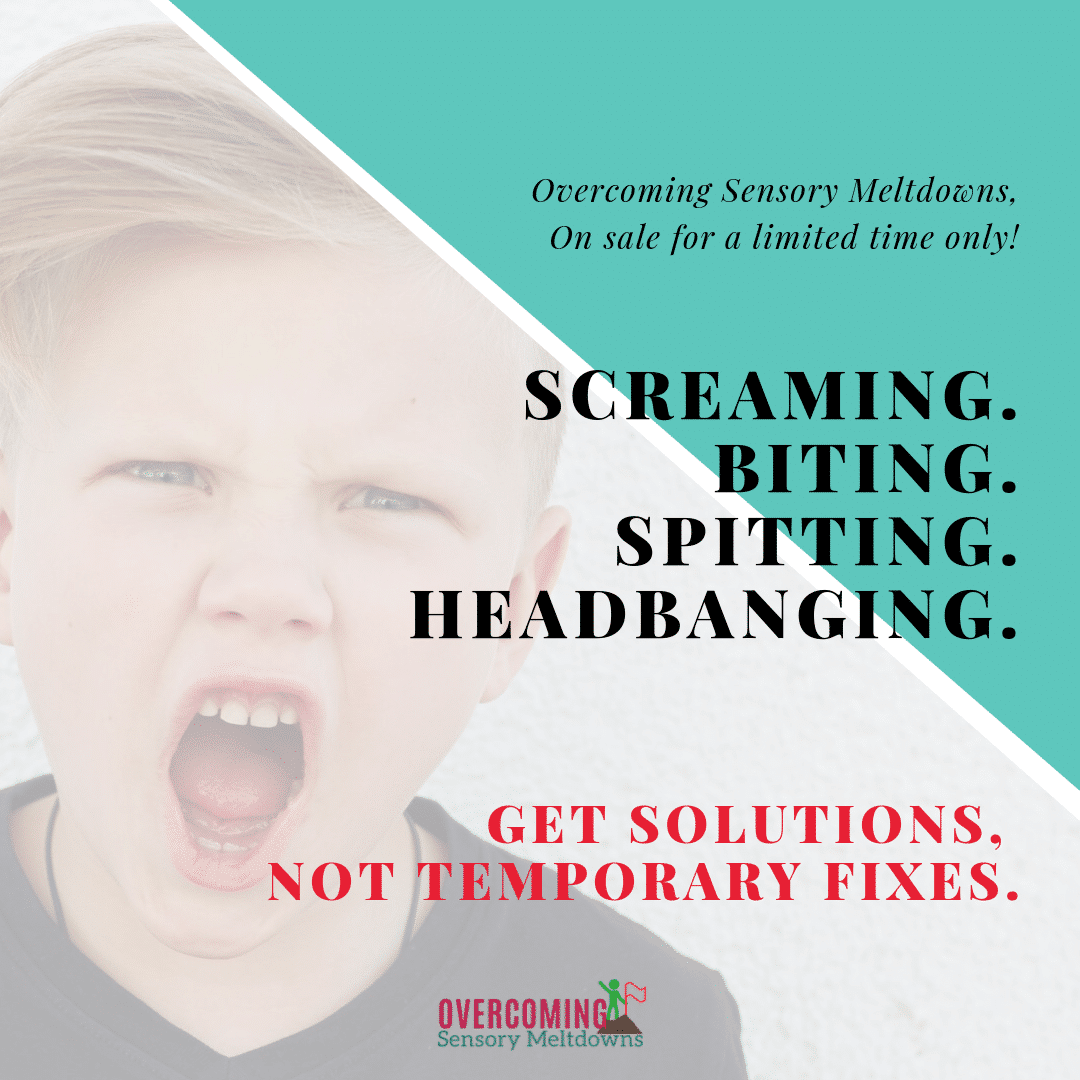 Calming, Organizing and Alerting Activities for Children