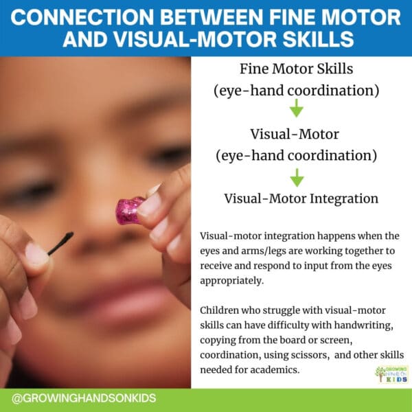 The Importance of Fine Motor Skills with Academics - Growing Hands-On Kids