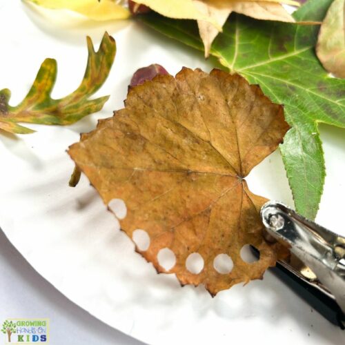 DIY Autumn Leaf Confetti: Fall Activity for Kids
