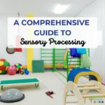 A Comprehensive Guide to Sensory Processing