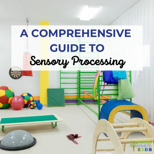 A Comprehensive Guide to Sensory Processing