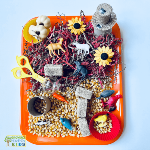 Exploring a Farm Animal Sensory Bin