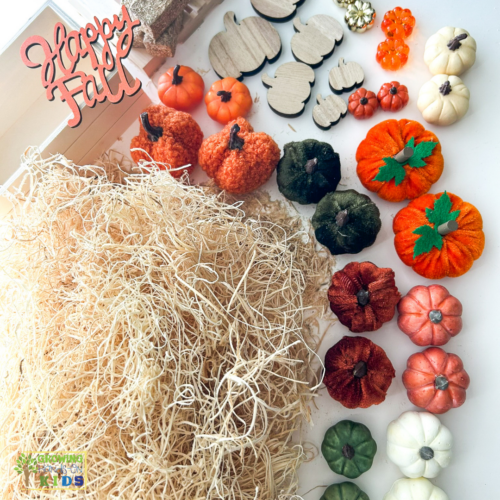 Pumpkin Patch Matching Game: A Fun, Sensory Fall Activity