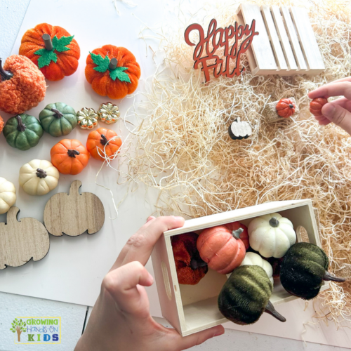 Pumpkin Patch Matching Game: A Fun, Sensory Fall Activity