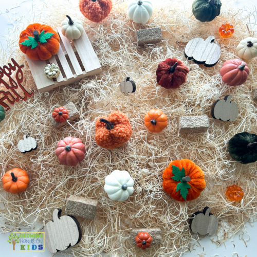 Pumpkin Patch Matching Game: A Fun, Sensory Fall Activity