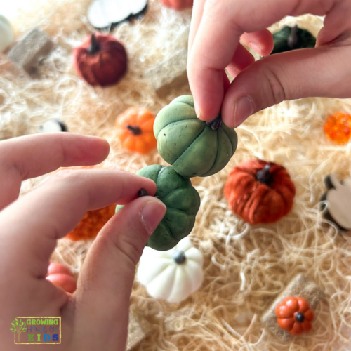 Pumpkin Patch Matching Game: A Fun, Sensory Fall Activity