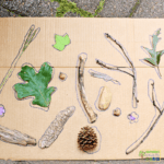 Nature Shape Puzzle Activity